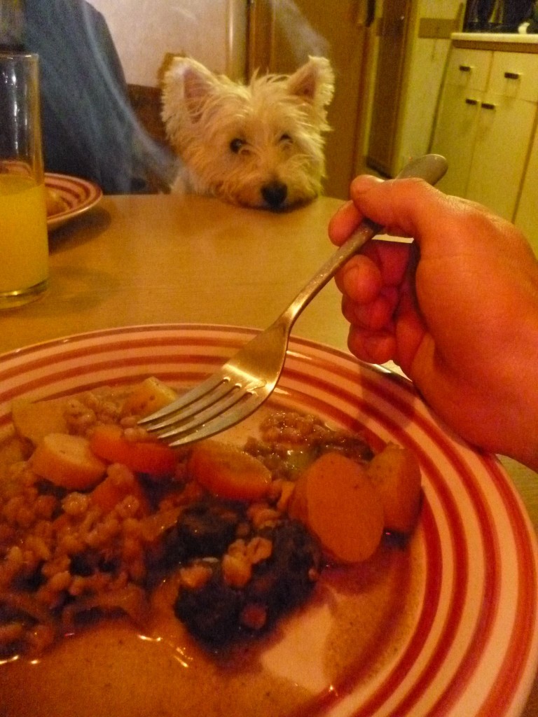 Making and using a Hay Box to cook in – Woodland Ways Blog – Bushcraft ...