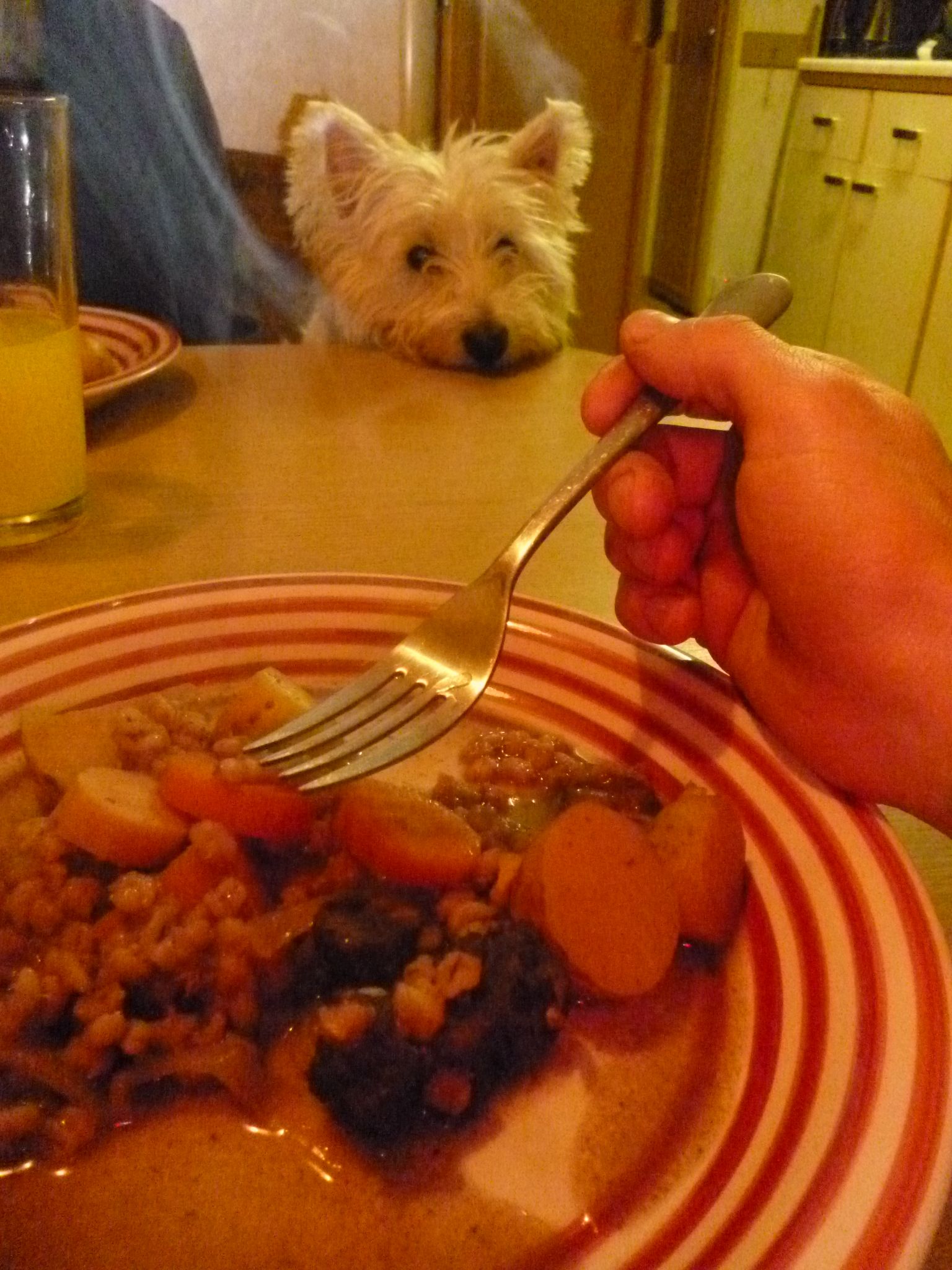 Making and using a Hay Box to cook in – Woodland Ways Blog – Bushcraft ...