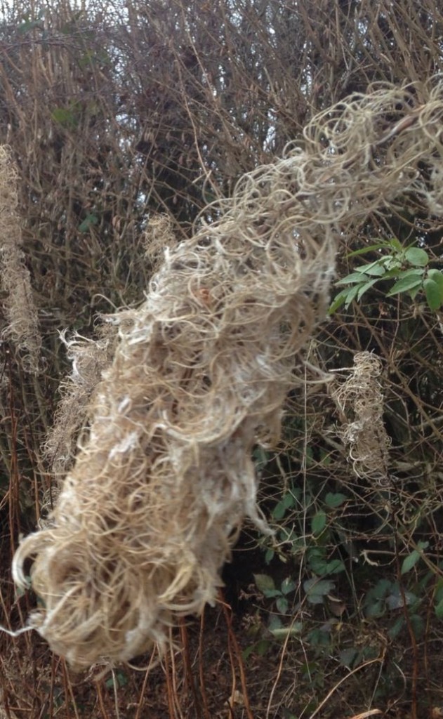 Tinder Bundles: Part 1 Ember Extenders – Woodland Ways Blog – Bushcraft ...