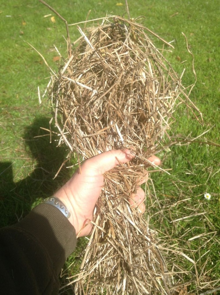 Tinder Bundles: Part 3, Blowing into Flame – Woodland Ways Blog ...