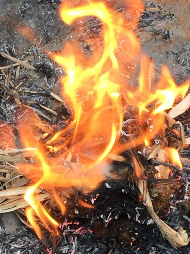 In depth fire bow stance and technique video – Woodland Ways Blog ...