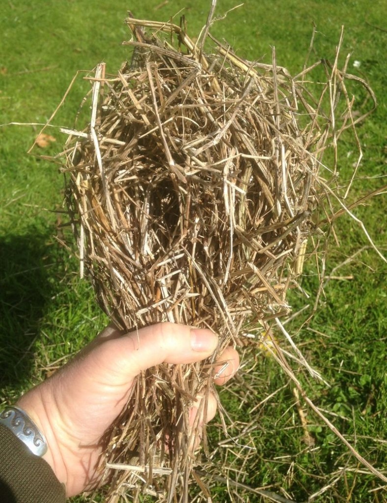 Tinder Bundles: Part 3, Blowing into Flame – Woodland Ways Blog ...