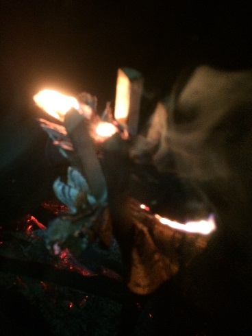 Bushcraft Torches and Lanterns Part 2 – Birch Bark Torches – Woodland ...