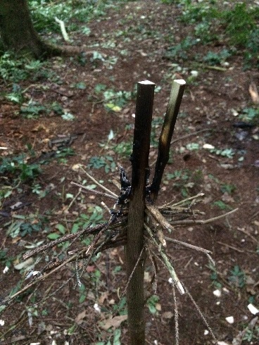 Bushcraft Torches and Lanterns Part1 – Woodland Ways Blog – Bushcraft ...