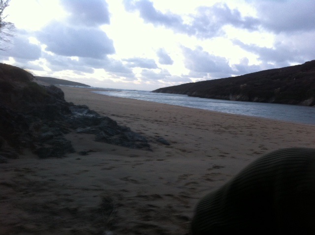 A Bus(h) Mans Holiday – The Importance of Tides. – Woodland Ways Blog ...