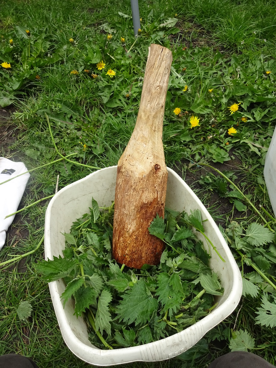 Stinging nettle dye: Capturing that spring green – Woodland Ways Blog ...