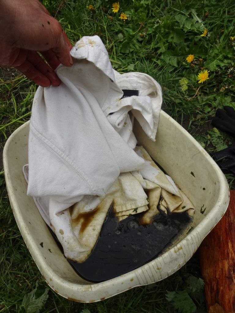 Stinging nettle dye: Capturing that spring green – Woodland Ways Blog ...