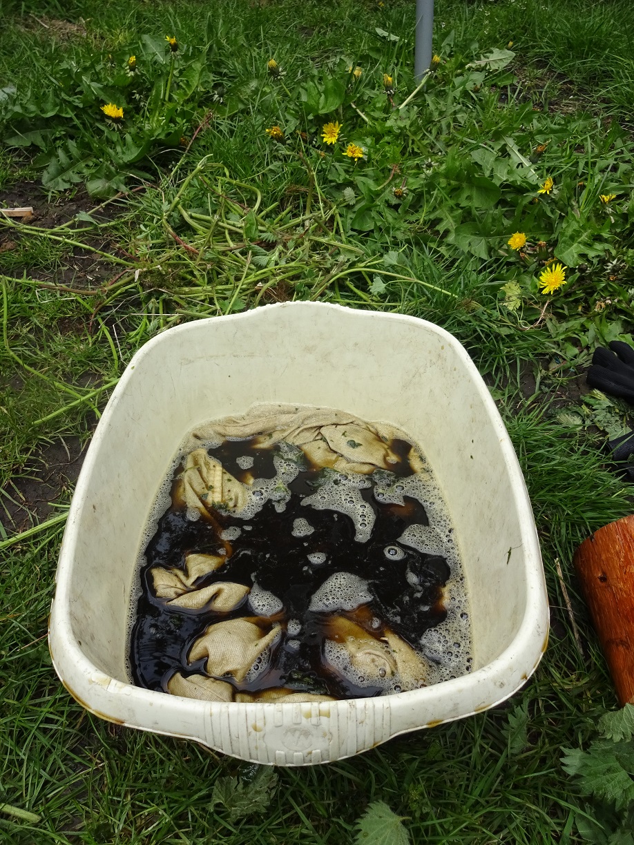 Stinging nettle dye: Capturing that spring green – Woodland Ways Blog ...