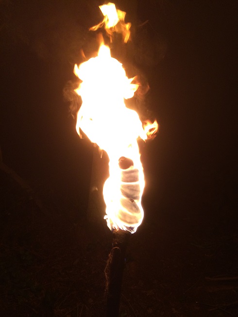 Bushcraft Torches and Lanterns Part 4 – Greater Reedmace and Rag ...