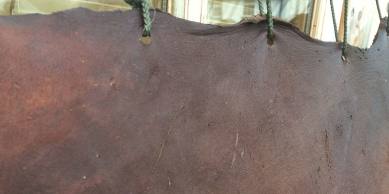 Bark Tanning – How To – Woodland Ways Blog – Bushcraft and Survival