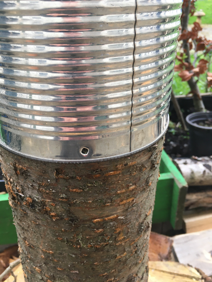 An Improvised Billy Can – Woodland Ways Blog – Bushcraft and Survival