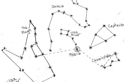 What is a Try-Stick? – Woodland Ways Blog – Bushcraft and Survival