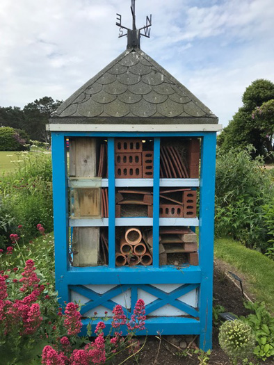 Our big bug house – Woodland Ways Blog – Bushcraft and Survival