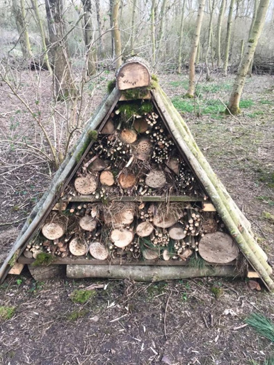 Our big bug house – Woodland Ways Blog – Bushcraft and Survival