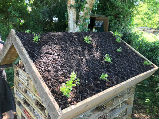 Our Big Bug House – Final part – Woodland Ways Blog – Bushcraft and ...