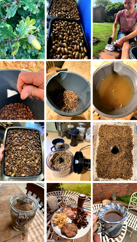 Acorn Flour – Woodland Ways Blog – Bushcraft and Survival