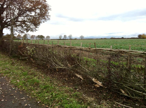 The History of the Hedgerow – Woodland Ways Blog – Bushcraft and Survival