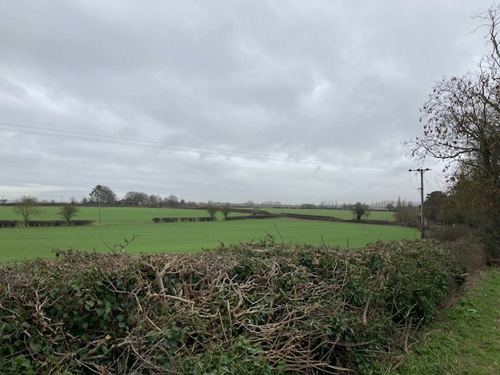 The History of the Hedgerow – Woodland Ways Blog – Bushcraft and Survival