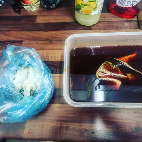 There’s something fishy going on – Woodland Ways Blog – Bushcraft and ...