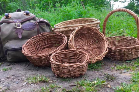 Bark Tanning – How To – Woodland Ways Blog – Bushcraft and Survival