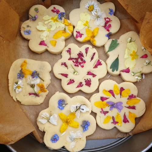 Spring-Time Pleasures: Edible flower Biscuits – Woodland Ways Blog ...