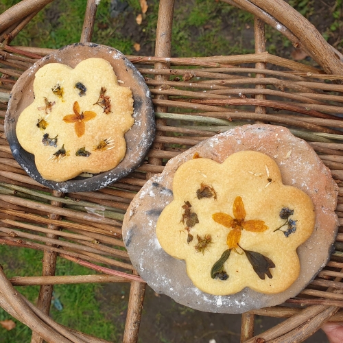 Spring-Time Pleasures: Edible flower Biscuits – Woodland Ways Blog ...