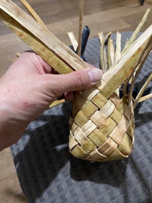 The Beauty of Bark – Woodland Ways Blog – Bushcraft and Survival