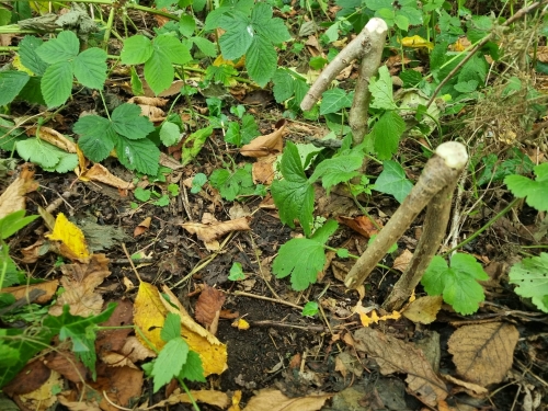The Treadle Mechanism – Woodland Ways Blog – Bushcraft and Survival