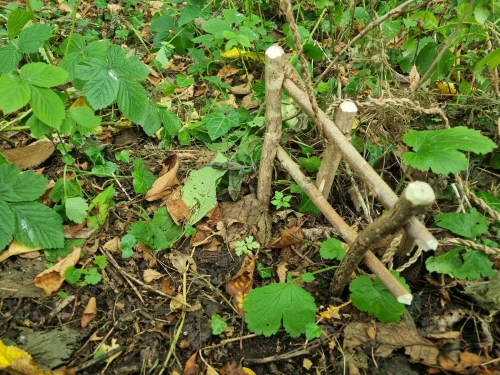 The Treadle Mechanism – Woodland Ways Blog – Bushcraft and Survival